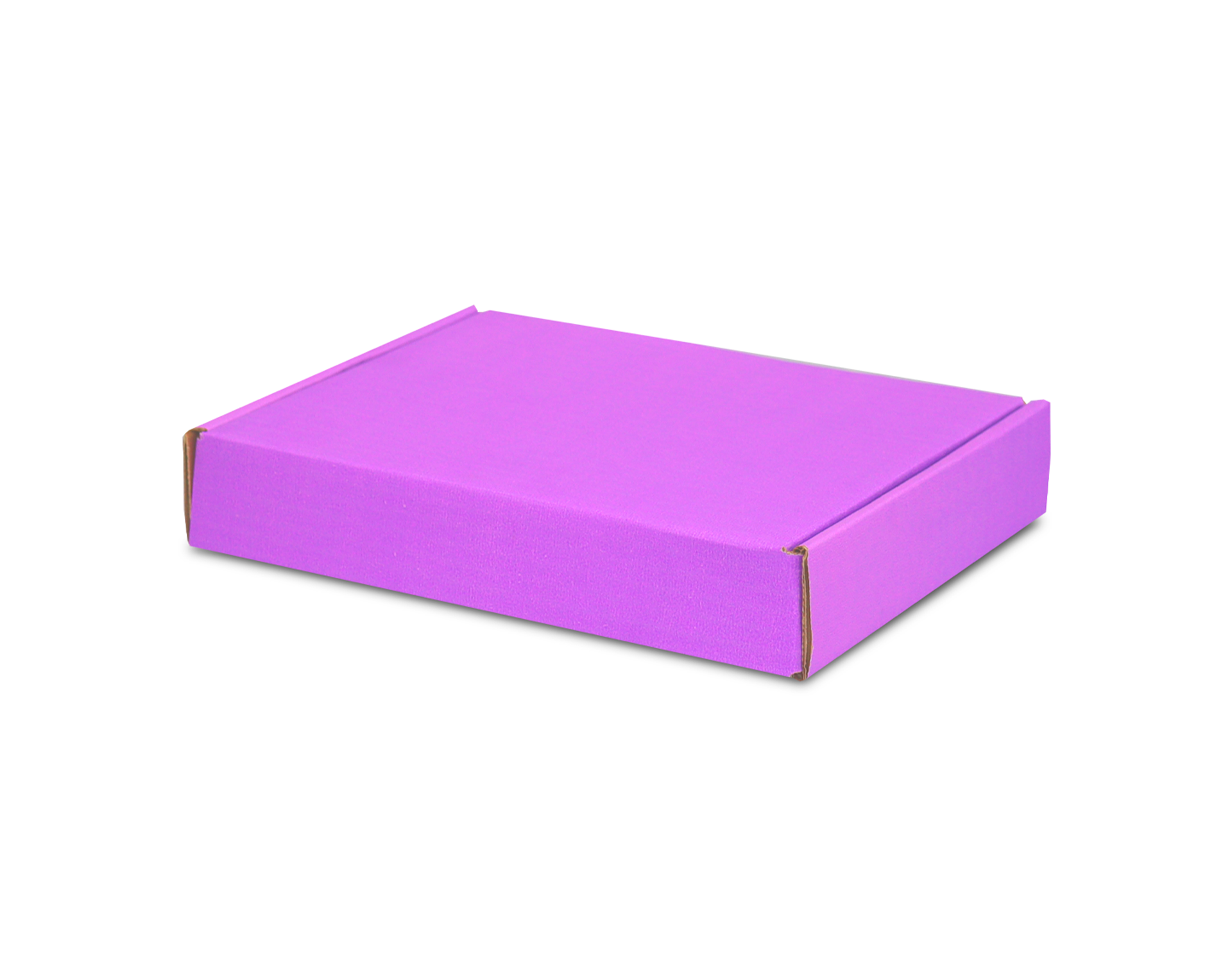 Caixa Roxa Média 23x15x4